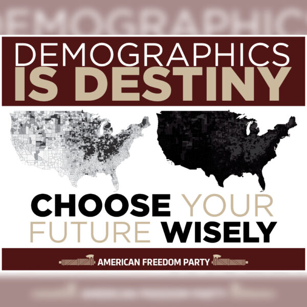 “Demographics Is Destiny” Poster